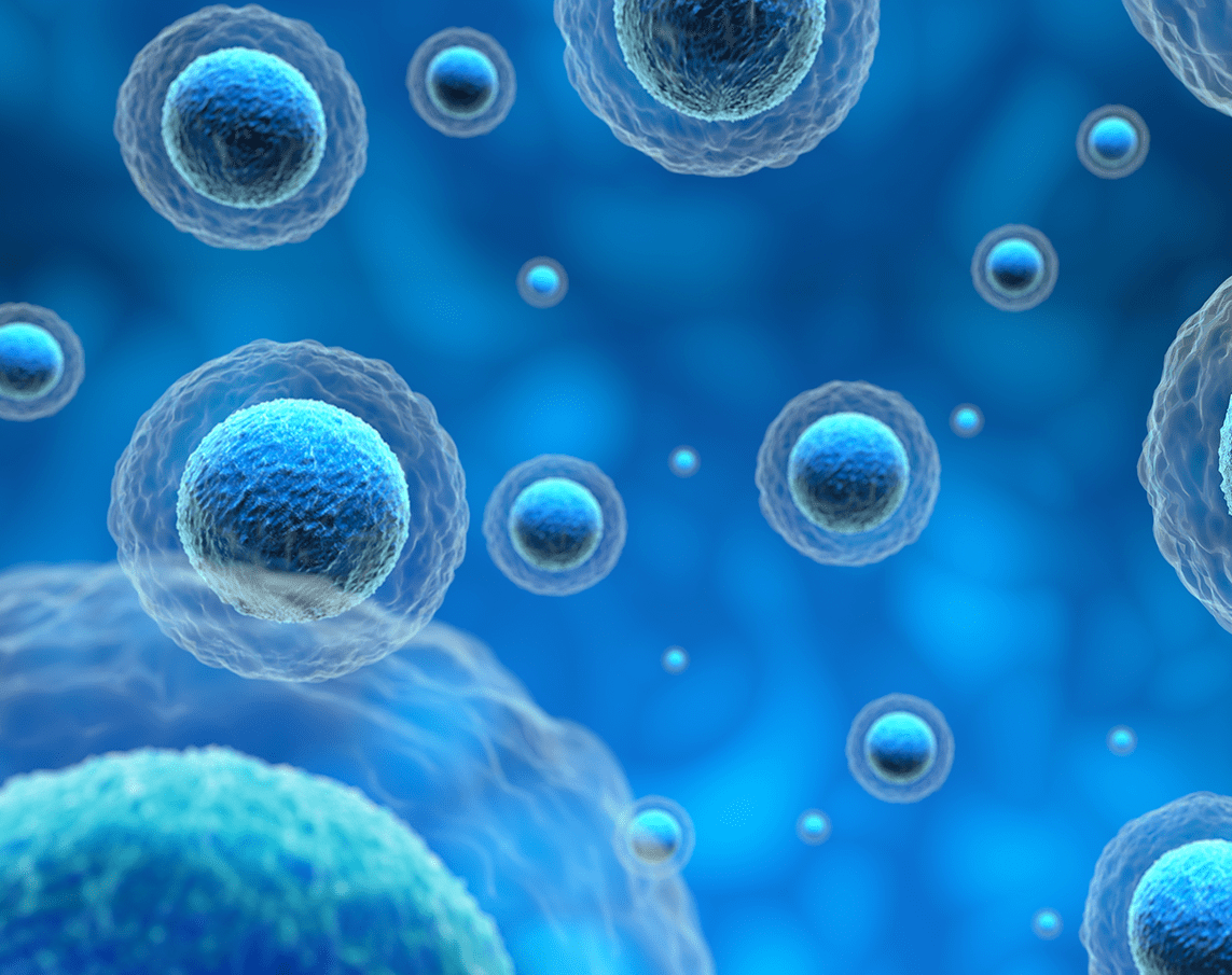 Know the power of V Cells Procedure for Life Regeneration